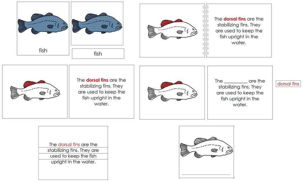 Fish Definition Set (red) - Montessori Print Shop