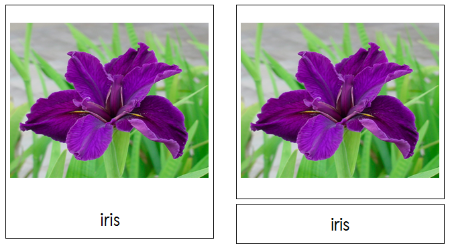 Montessori Classified Cards Bundle - Montessori Print Shop