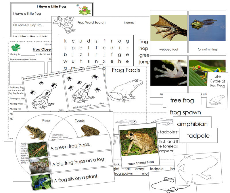 Frogs Unit Starter - Montessori Print Shop Digital Download