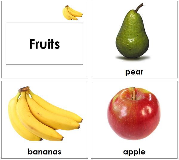 Toddler Bundle - Montessori Print Shop