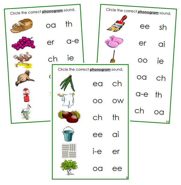 Green Phonogram Sound Choice Cards (Set 1) - Montessori Print Shop ...