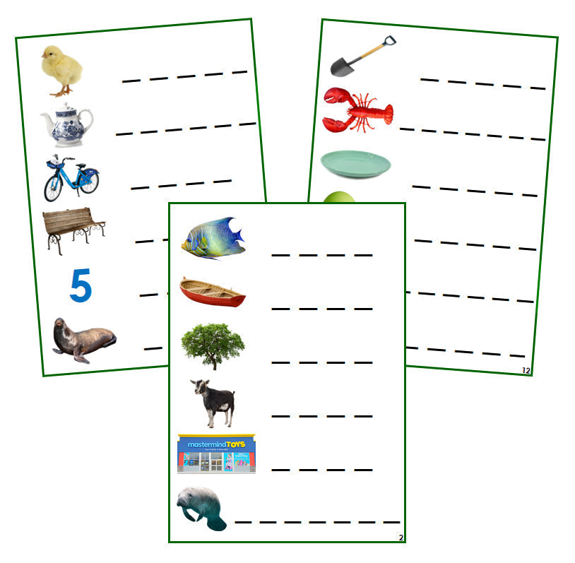 Green Phonogram Spelling Cards Set 1 (photos) - Montessori Print Shop