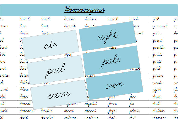 Homonyms (color, cursive) - Montessori Print Shop