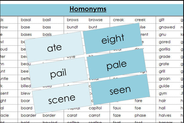 Homonyms (color) - Montessori Print Shop