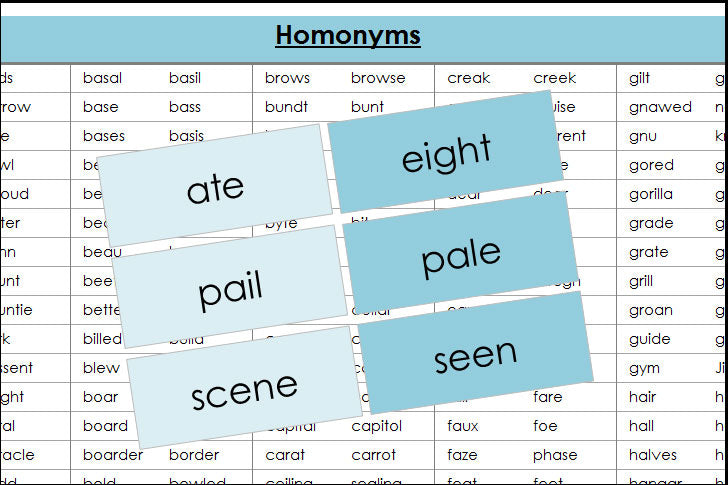 Homonyms (color) - Montessori Digital Download - Montessori Print Shop