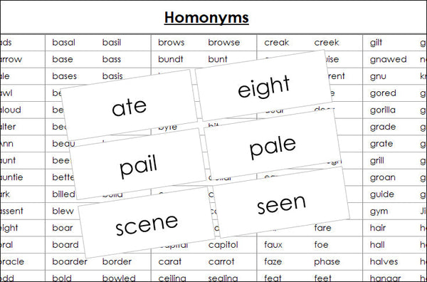 Homonyms - Montessori Digital Download - Montessori Print Shop