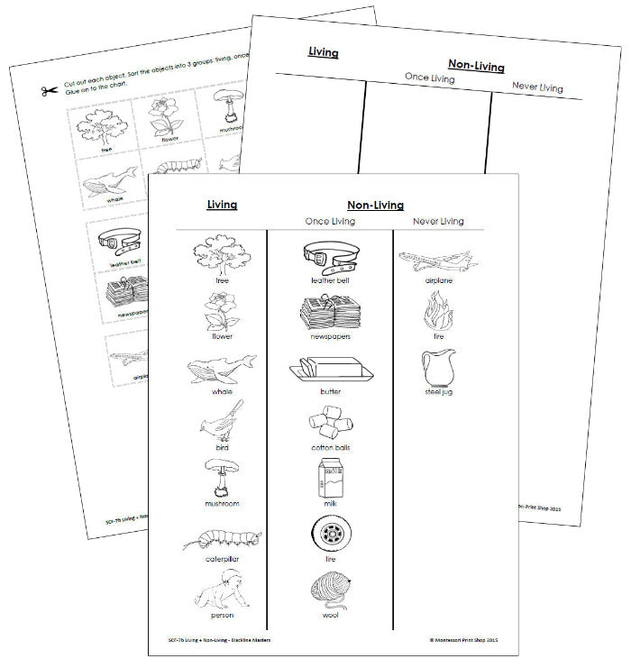 Living & Non-Living Sorting (Blackline Masters) - Montessori Print Shop ...