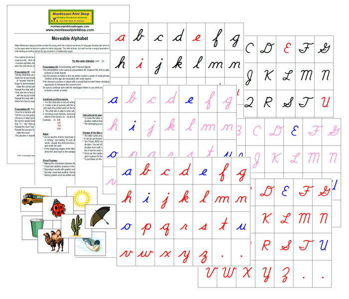 Montessori Moveable Alphabet Vowel Sound Cards (cursive) - Blue/Red ...