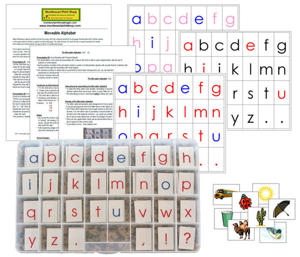 Montessori Moveable Alphabet (Print) - Montessori Print Shop