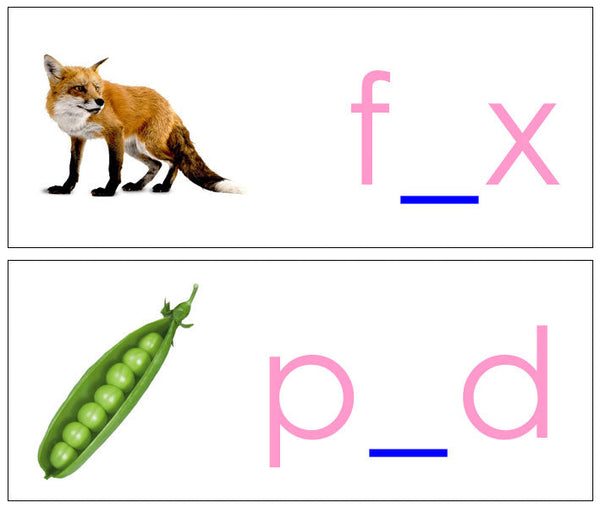 Moveable Alphabet Vowel Sound Cards - Montessori Print Shop