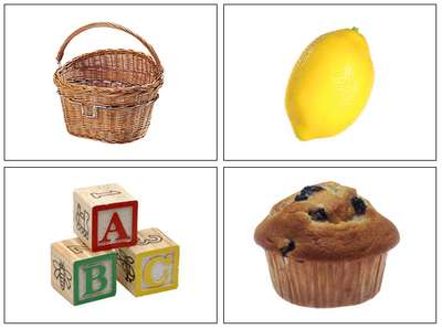 Moveable Alphabet Photo Cards - Montessori Print Shop