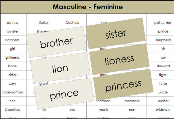 Masculine & Feminine Word Cards (color) - Montessori Print Shop Digital ...