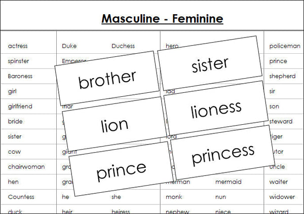 Masculine & Feminine Cards - Montessori Print Shop
