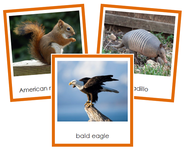 North America Geography Lessons - Montessori Print Shop