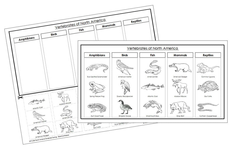 Vertebrates of the Continents Sorting Bundle - Blackline Masters ...