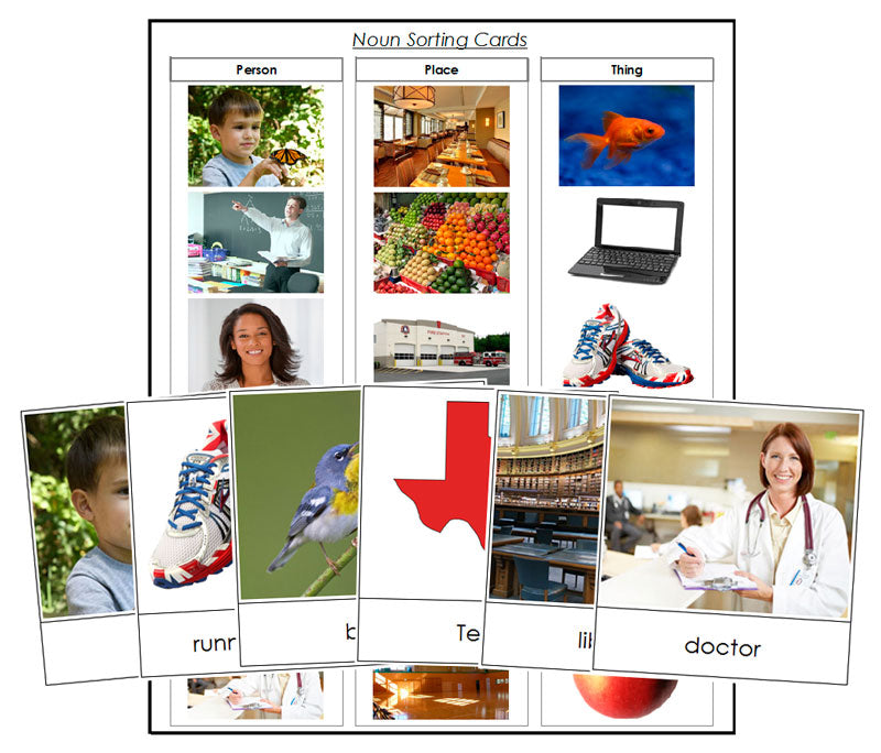 Noun Sorting Cards - Montessori Print Shop