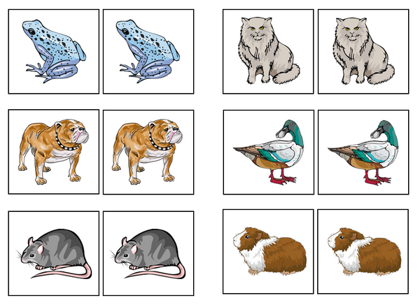 Pets Match-Up & Memory Game - Montessori Print Shop Digital Download