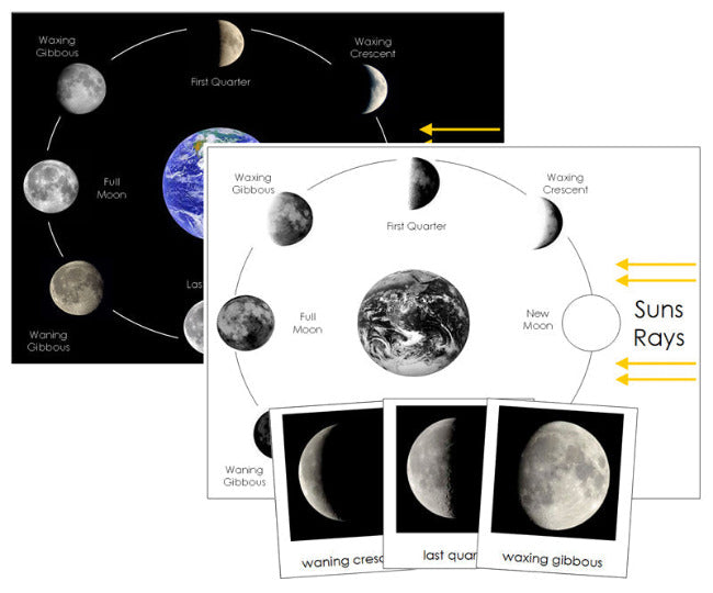 Moon Phases Graph