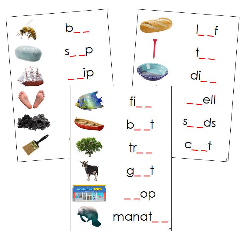 Phonogram Sound Cards Set 1 Step 3 (photos) - Montessori Print Shop