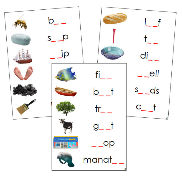Phonogram Sound Cards Set 1 Step 3 (photos) - Montessori Print Shop
