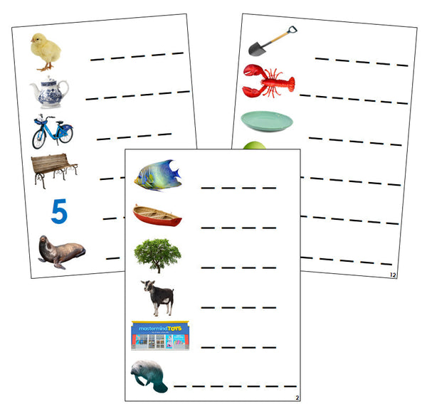 Phonogram Spelling Cards Set 1 Step 3 (photos) - Montessori Print Shop