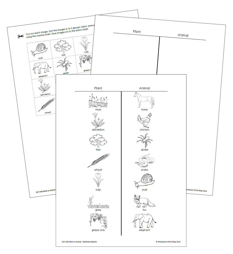 Plant & Animal Sorting (Blackline Masters) - Montessori Print Shop