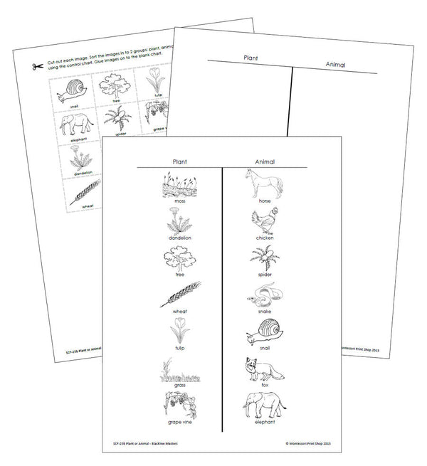 Plant & Animal Sorting (Blackline Masters) - Montessori Print Shop