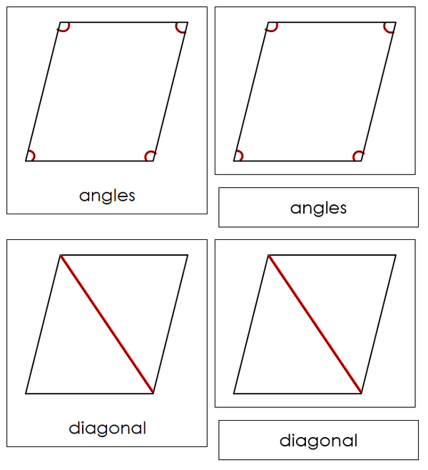 Study of a Rhombus Cards - Montessori Print Shop
