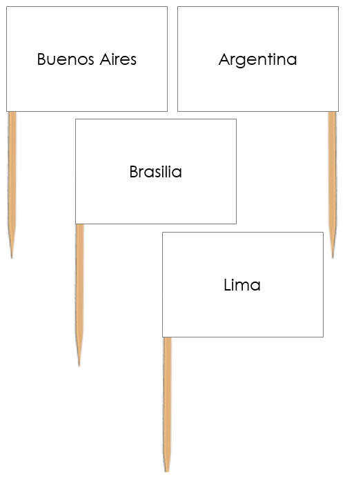 South American Flags - Montessori Print Shop