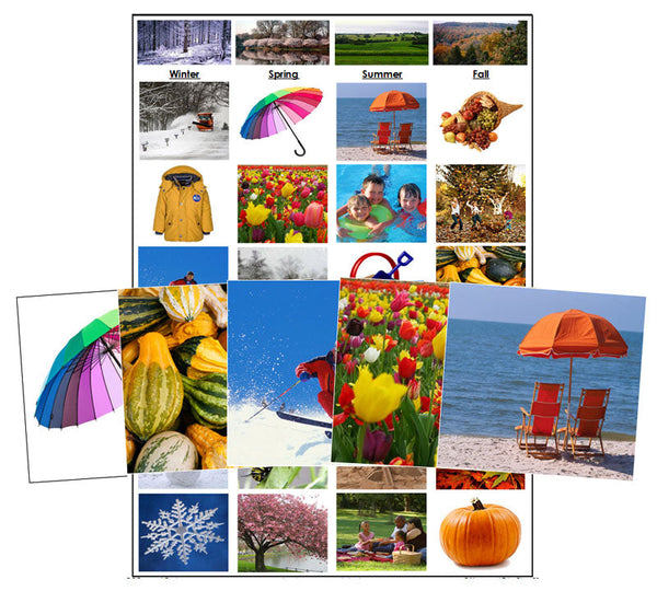 Seasonal Sorting Cards - Montessori Print Shop Digital Download
