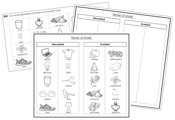 Sense of Smell Sorting Blackline Masters - Montessori Print Shop