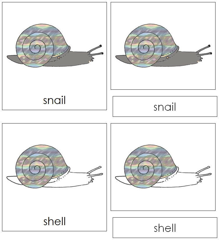 Zoology Nomenclature Bundle Set 2 - Montessori Print Shop Digital Download