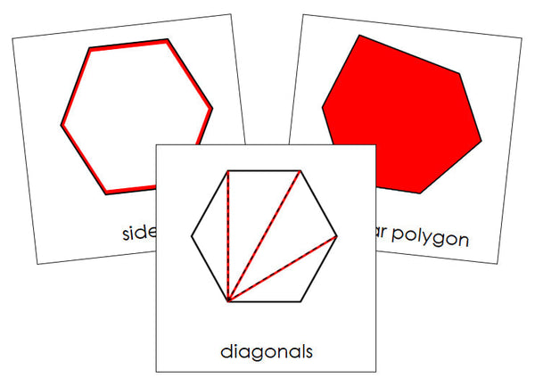Study of a Polygon Cards - Montessori Print Shop