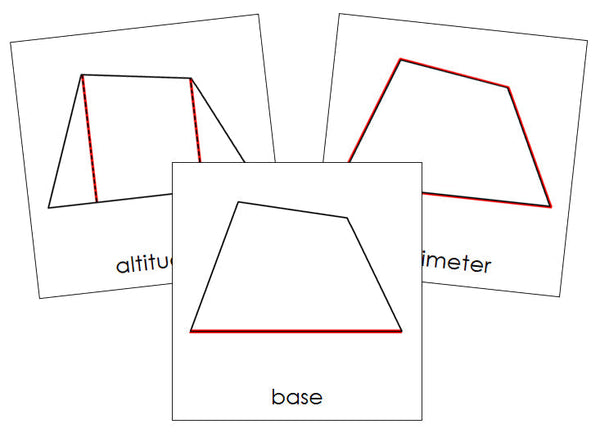 Study of a Quadrilateral Cards - Montessori Print Shop