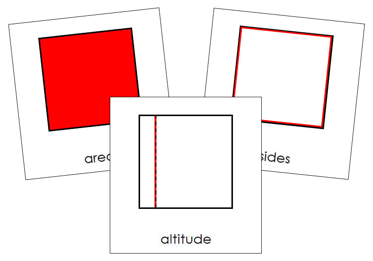 Study of a Square Cards - Montessori Print Shop
