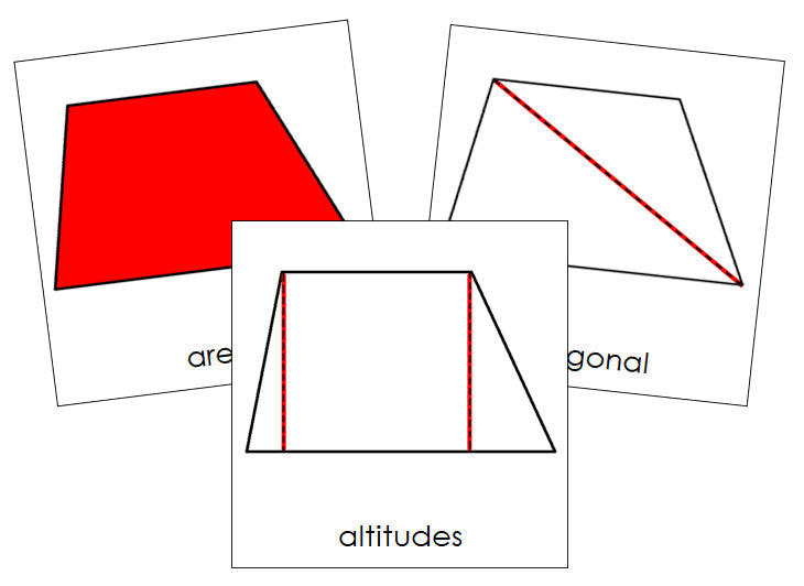 Study of a Trapezoid Cards - Montessori Print Shop