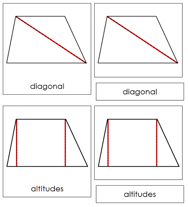 Study of a Trapezoid Cards - Montessori Print Shop