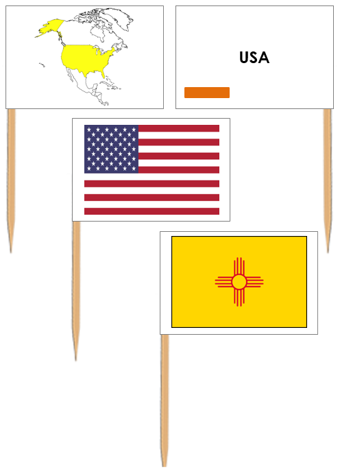 United States Flags: Pin Flags - Montessori Print Shop