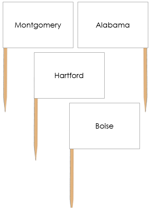 United States Capital Cities Pin Flags - Montessori Print Shop Digital ...