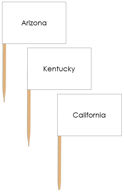 United States Map Labels (Pin Flags) - Montessori Print Shop