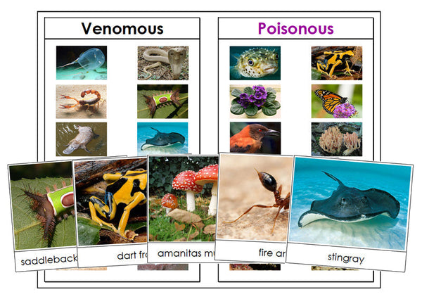 Venomous or Poisonous? - Animals & Plants (Montessori Print Shop)
