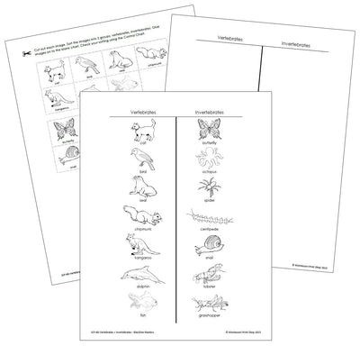 Vertebrates & Invertebrates (Blackline Masters) - Montessori ...