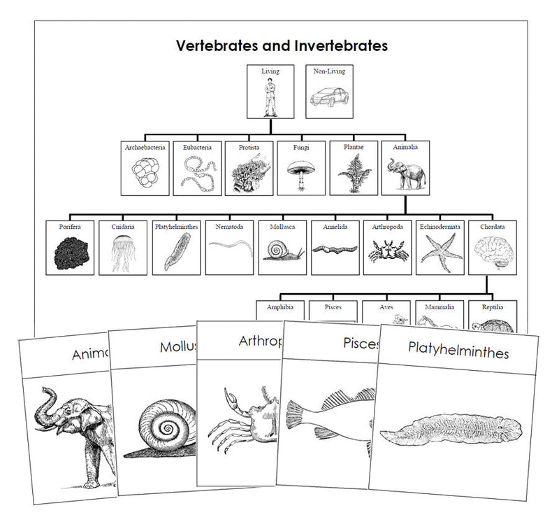 Vertebrates & Invertebrates - Montessori Print Shop