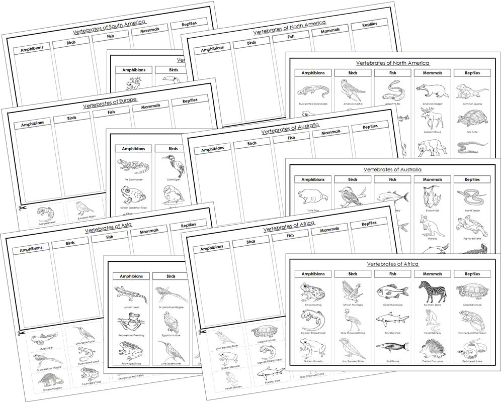 Vertebrates of the Continents Sorting Bundle - Blackline Masters ...