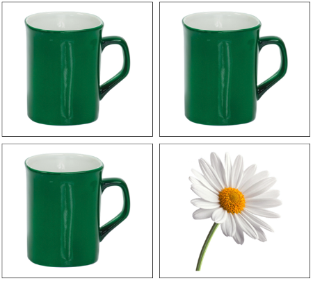 What Doesn't Belong? (Toddler) - Montessori Print Shop