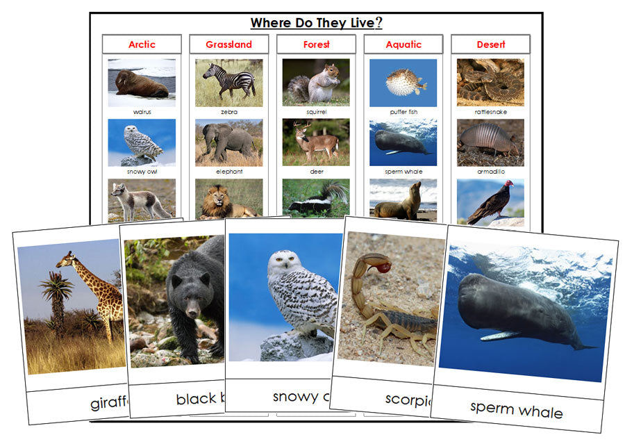 Animals: Where Do They Live? - Montessori Print Shop