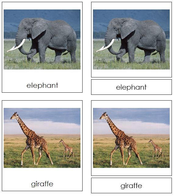 Wild Animals - Montessori Print Shop