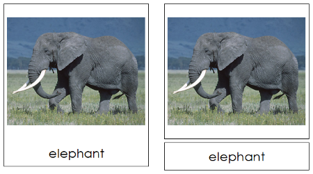 Montessori Classified Cards Bundle - Montessori Print Shop