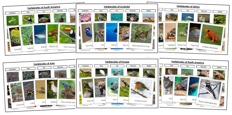 Montessori Science Lessons - Montessori Print Shop