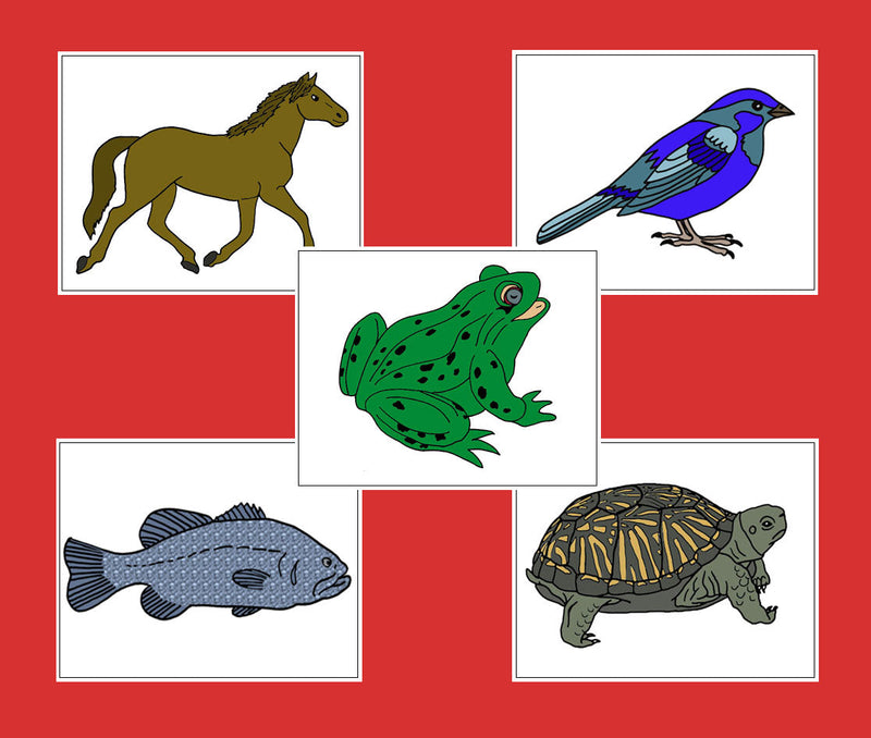 Nomenclature Bundles - Montessori Print Shop